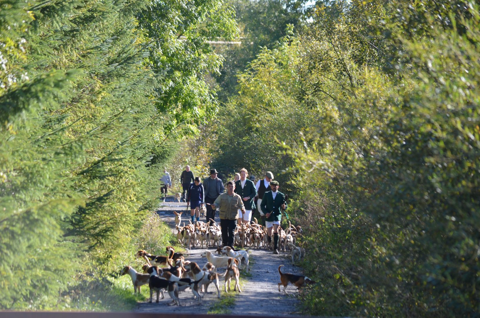 Beagling In Ireland – Long Netter