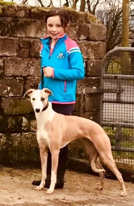 Irish Extra May 2020 – Long Netter